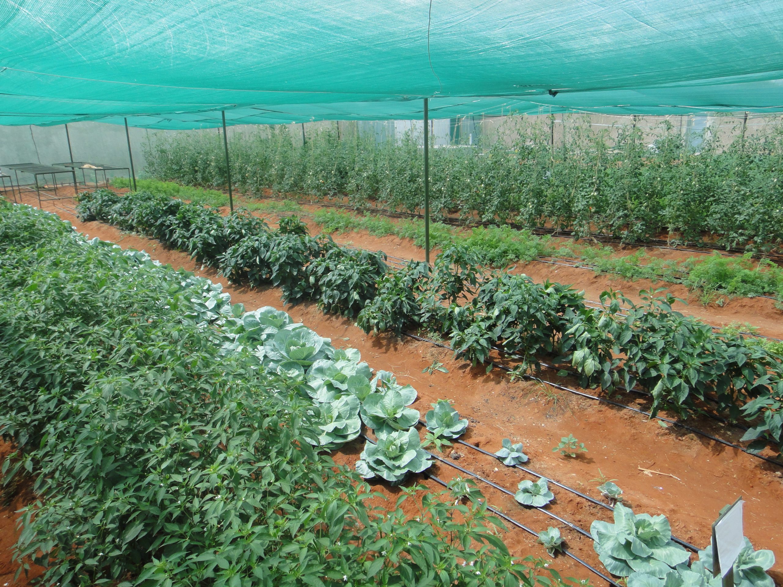 Solargen Wajir Office - Solargen